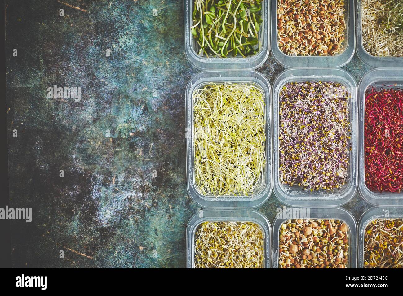 Set of containers with a varoius kinds micro green sprouts. Young ...