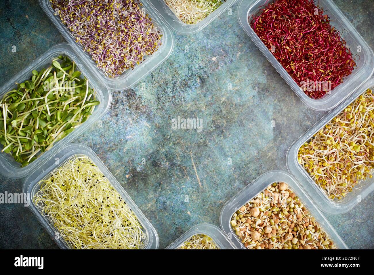 Set of containers with a varoius kinds micro green sprouts. Young ...