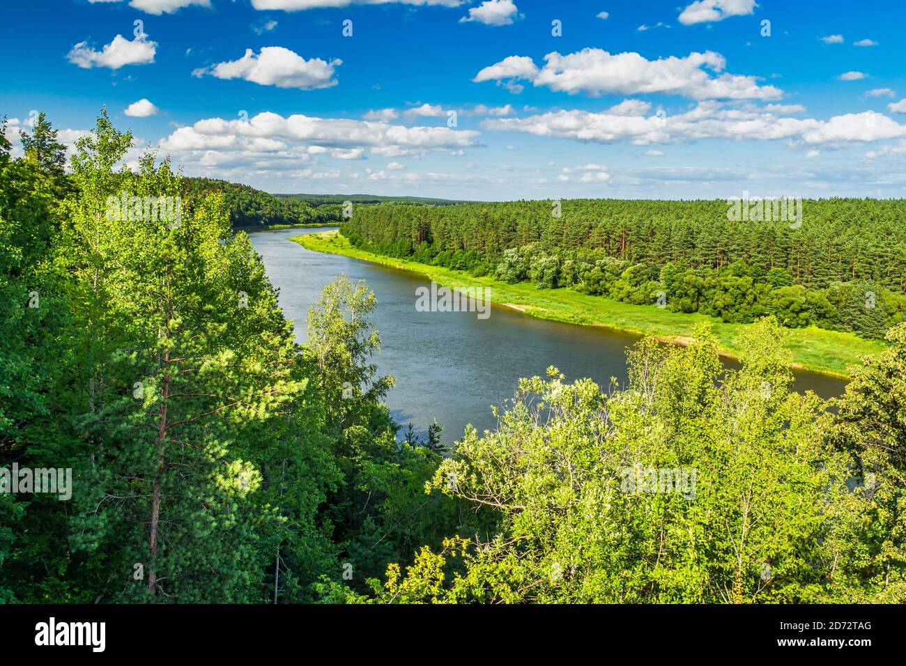 Amazing River and Forest Landscape. Forest with Beautiful Sunlight ...