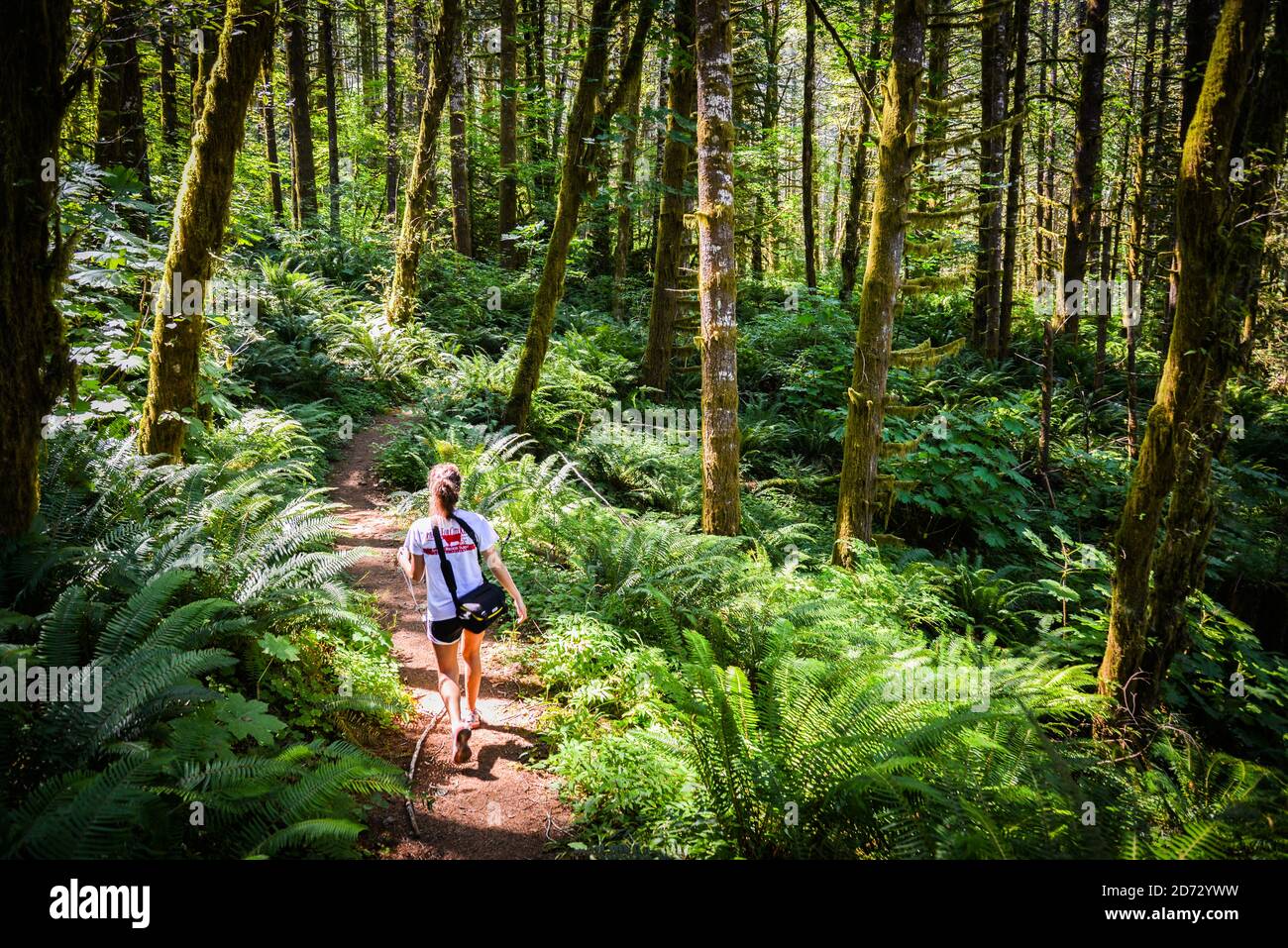 Walking in Tillamook State Forest, Pacific Northwest, Oregon, USA Stock ...