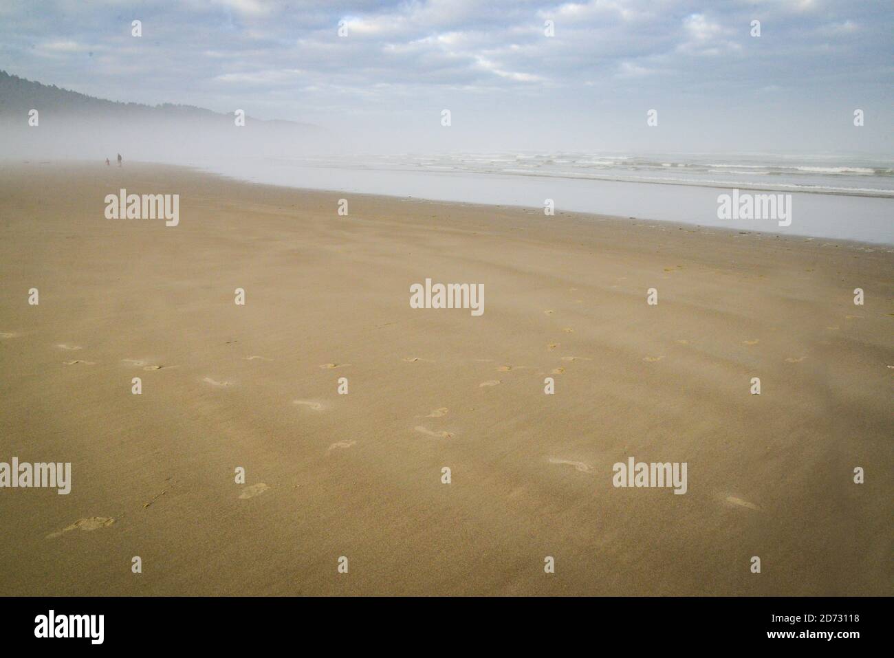 Cape Lookout State Park, Oregon, USA; Pacific Ocean Stock Photo - Alamy