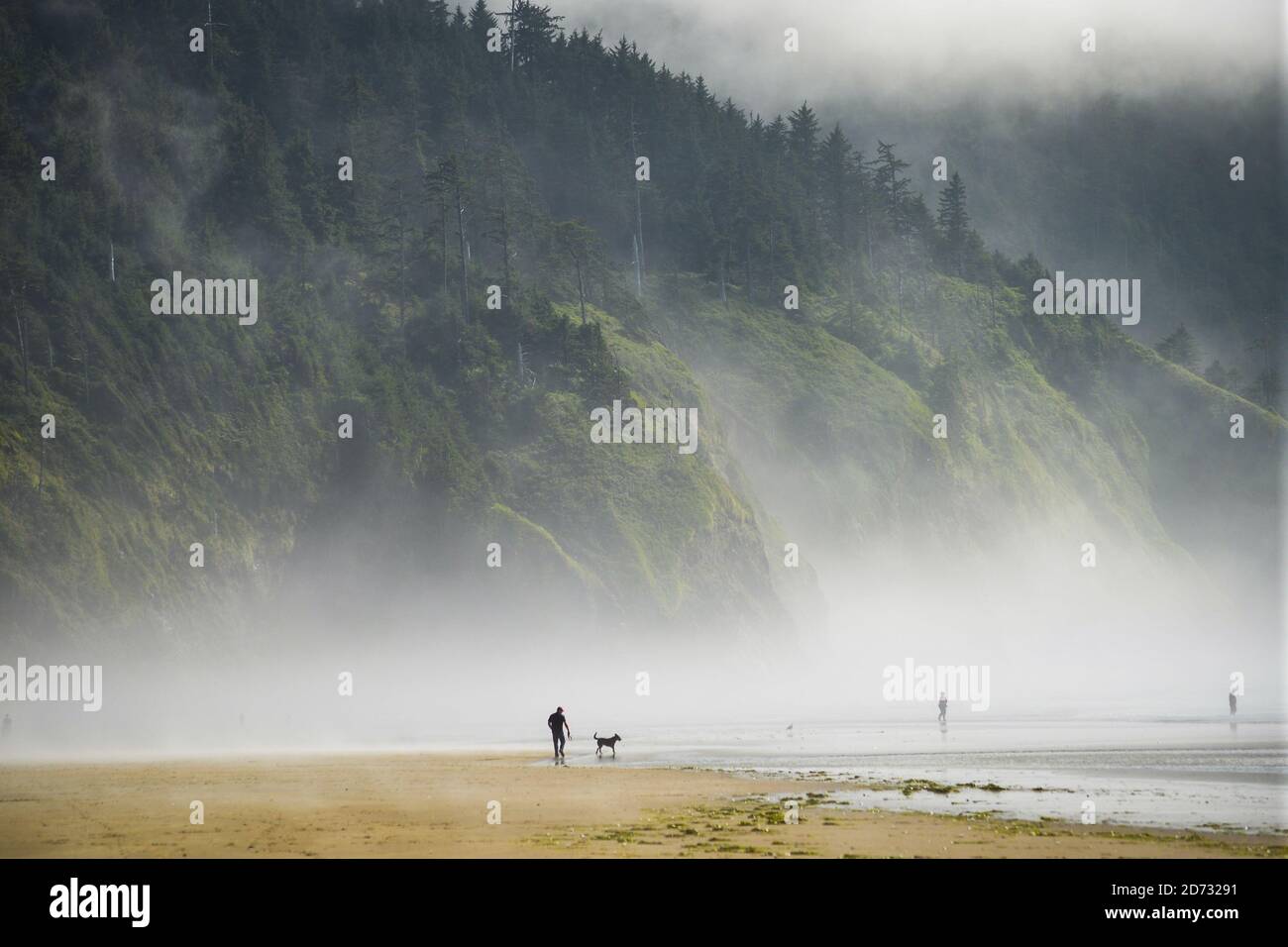 Cape Lookout State Park, Oregon, USA; Pacific Ocean Stock Photo - Alamy