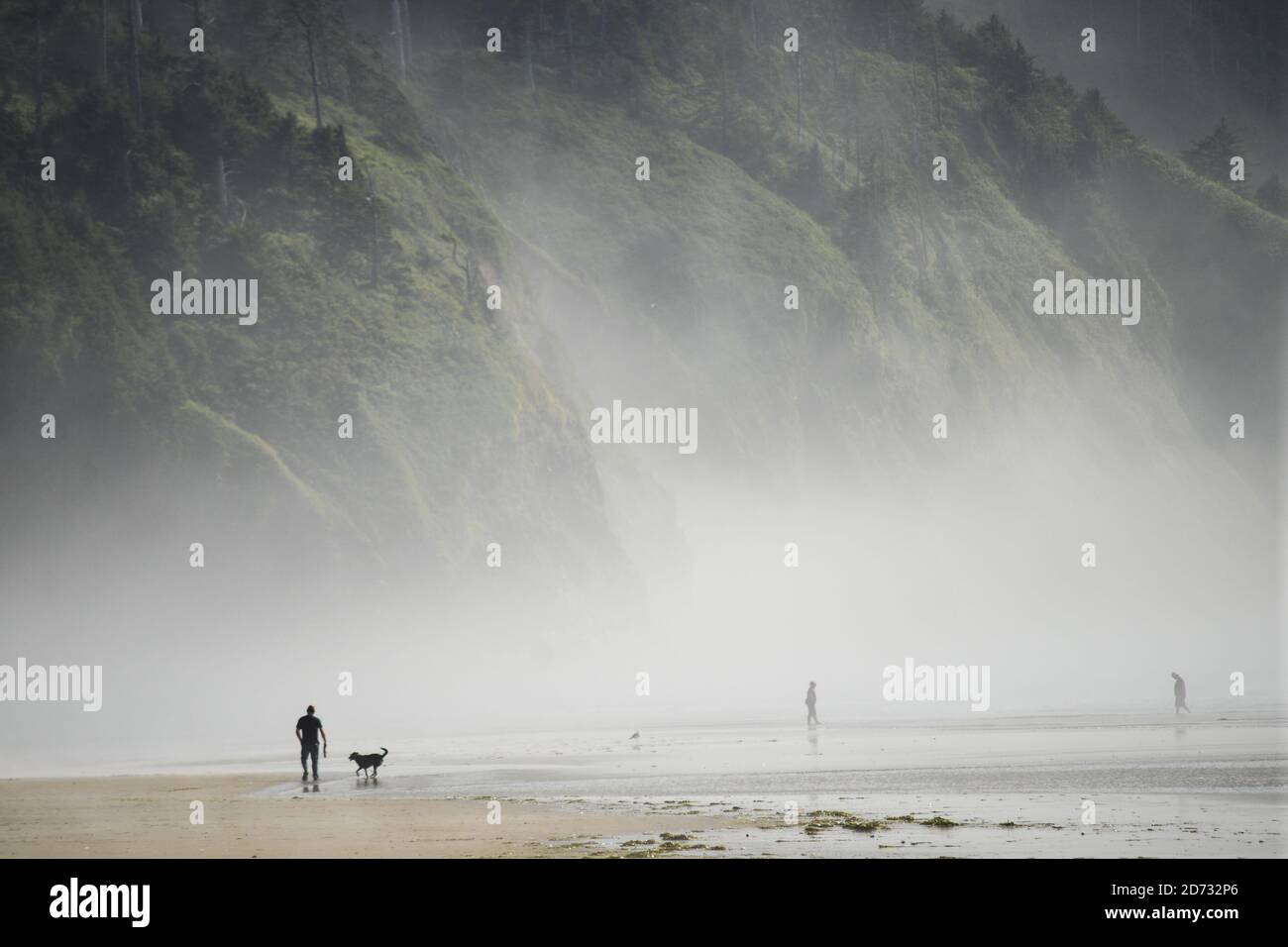 Cape Lookout State Park, Oregon, USA; Pacific Ocean Stock Photo - Alamy