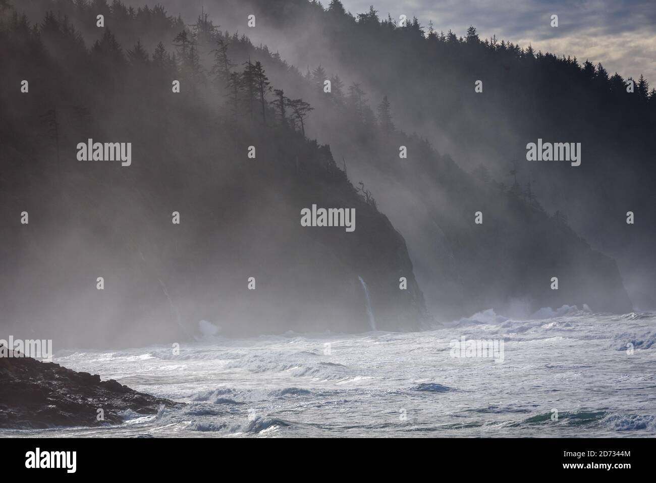 Cape Lookout State Park, Oregon, USA; Pacific Ocean Stock Photo - Alamy