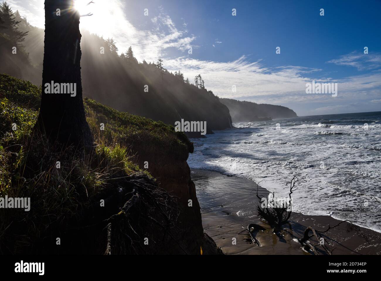 Cape Lookout State Park, Oregon, USA; Pacific Ocean Stock Photo - Alamy