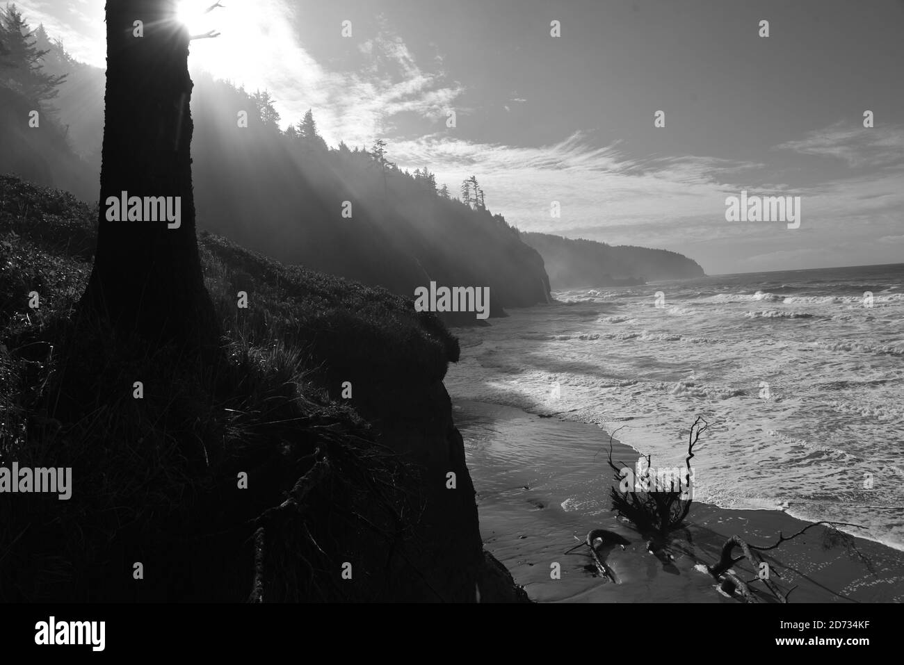 Cape Lookout State Park, Oregon, USA; Pacific Ocean Stock Photo - Alamy