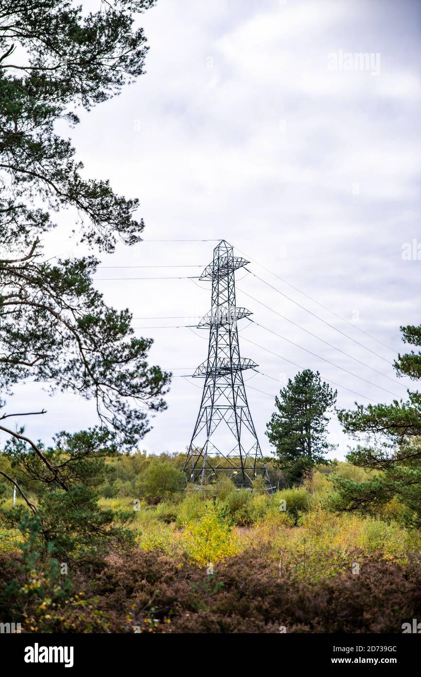 Autumnal woodland landscape: Electricity pylons in the natural ...