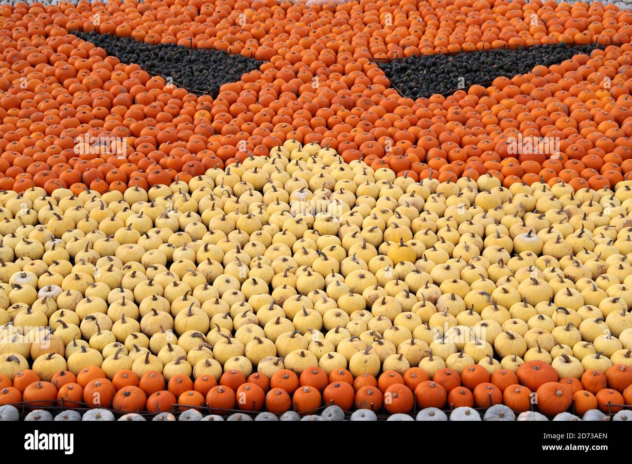 Sunnyfields farm hi-res stock photography and images - Alamy
