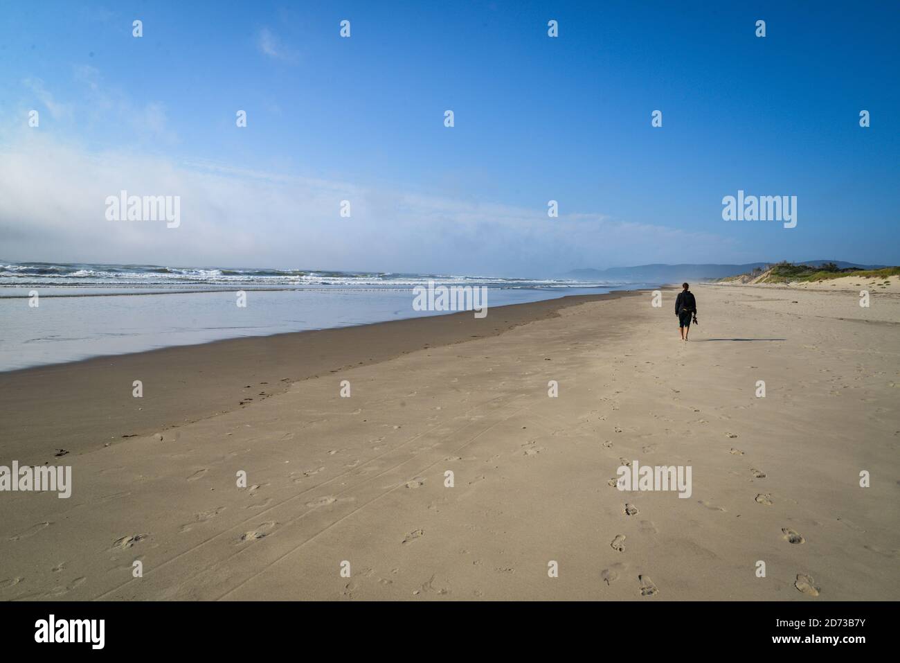 Oregon state beaches hi-res stock photography and images - Alamy