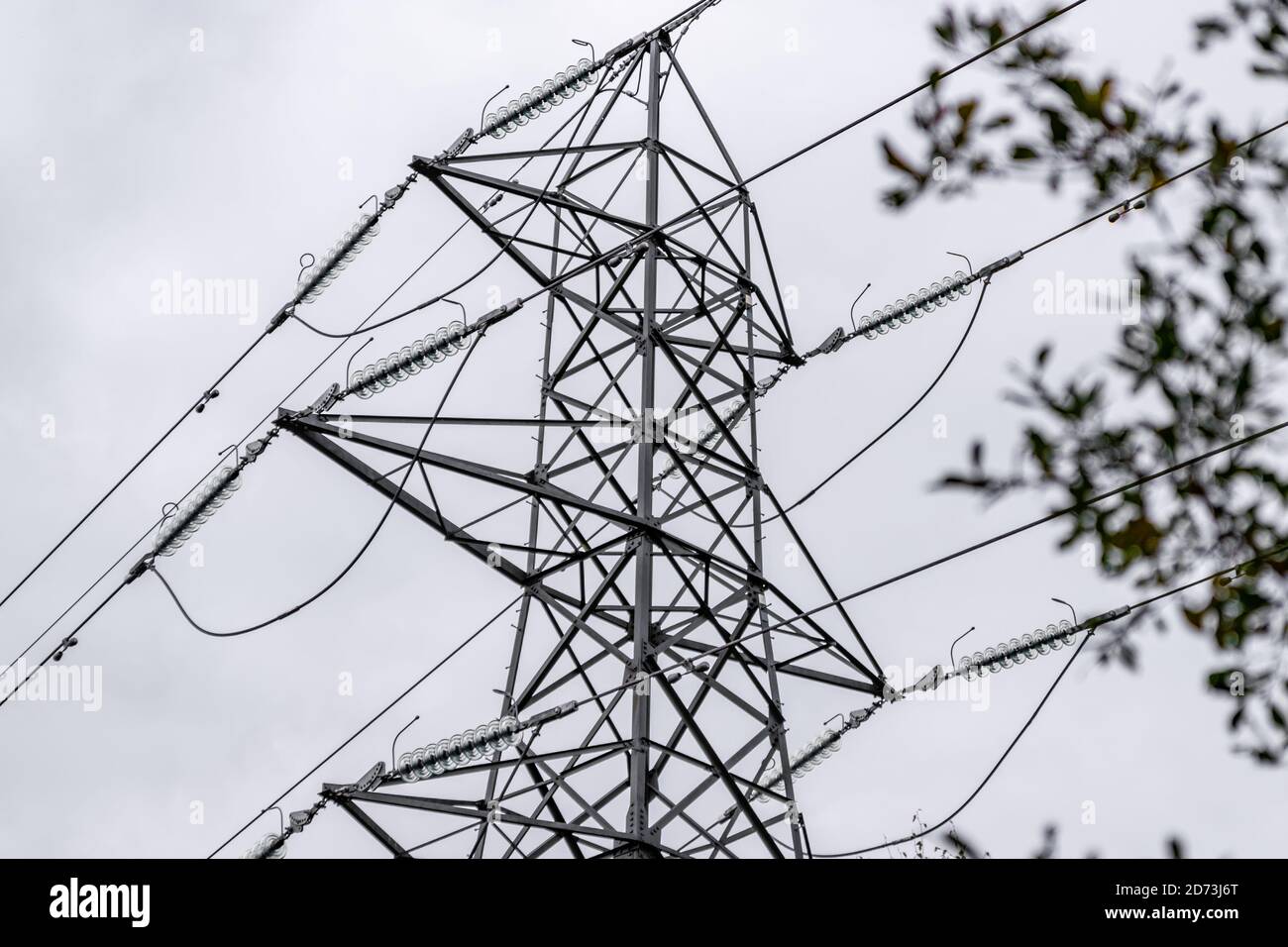 Autumnal woodland landscape: Electricity pylons in the natural ...