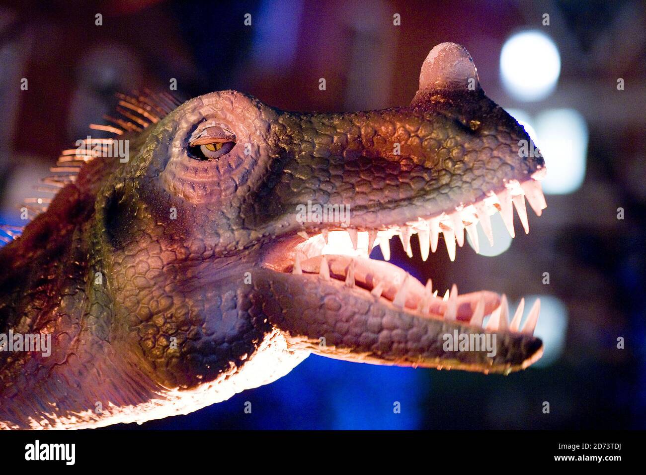 Model dinosaurs on display at the opening night of Dinosaurs Unleashed ...