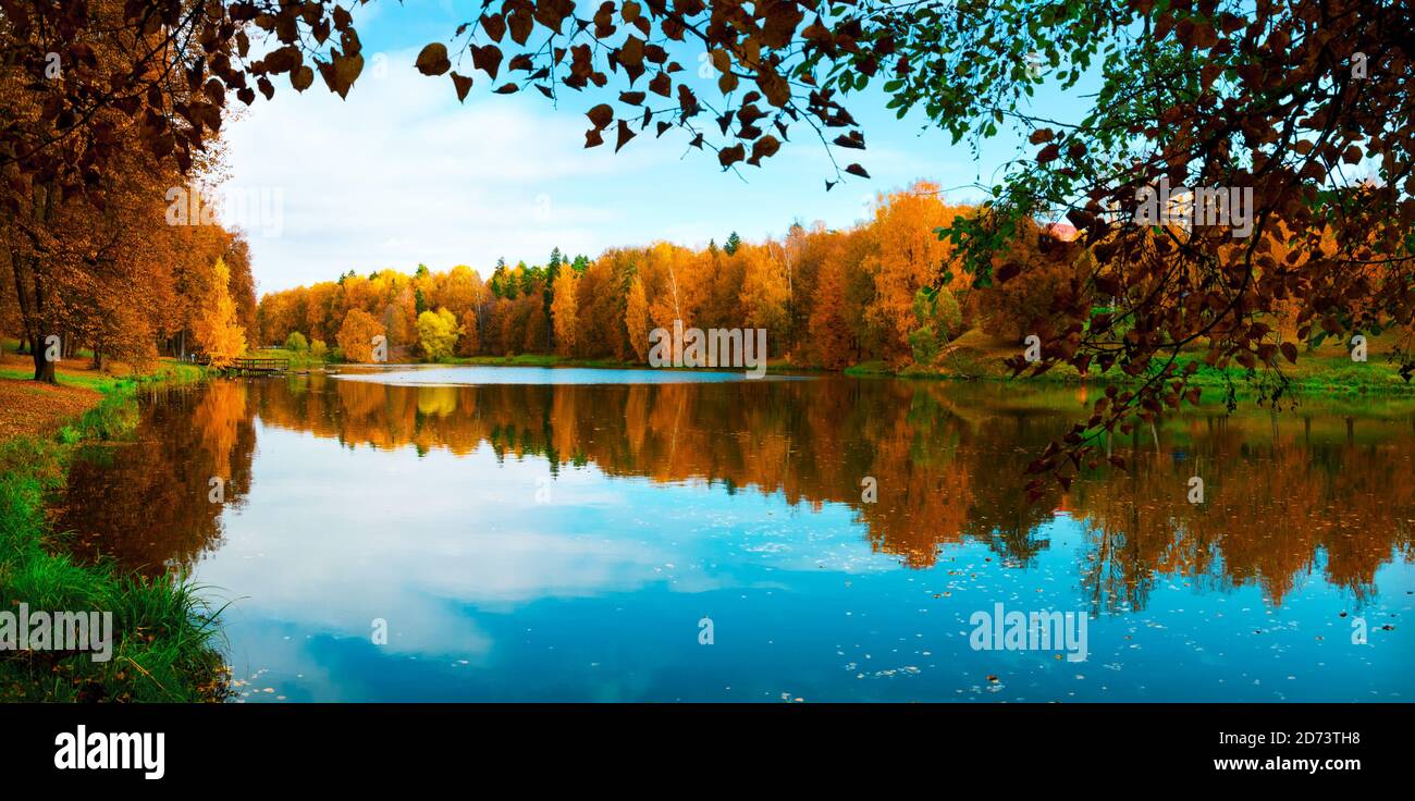 Beautiful sunny autumn landscape with calm lake in park and trees with ...