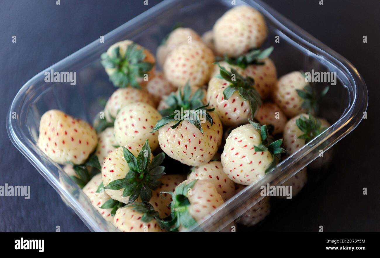 Pineberries, a cross between a strawberry and a pineapple, on display ...