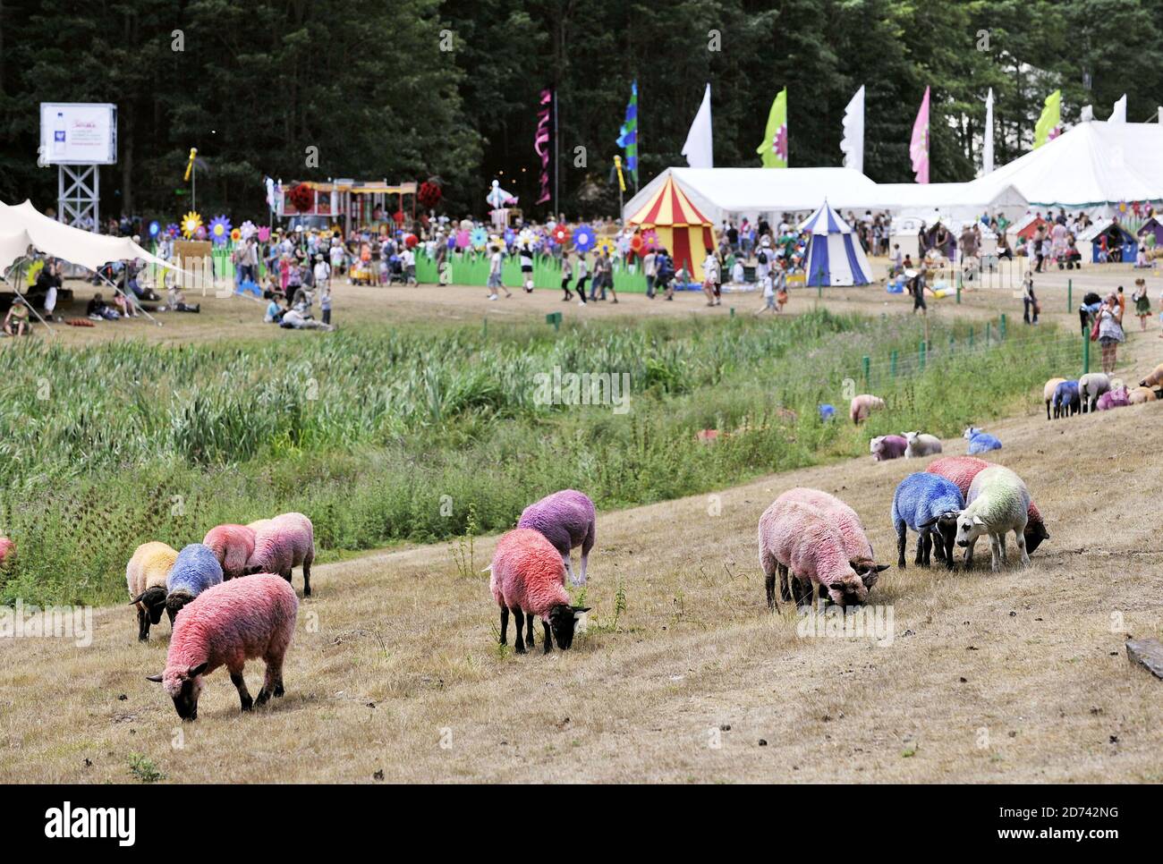 Coloured sheep hi-res stock photography and images - Alamy