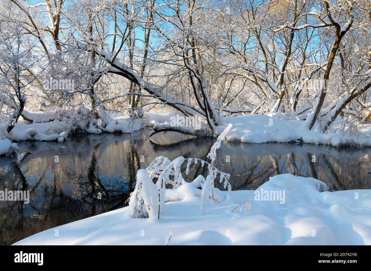 Frosty winter scene hi-res stock photography and images - Alamy
