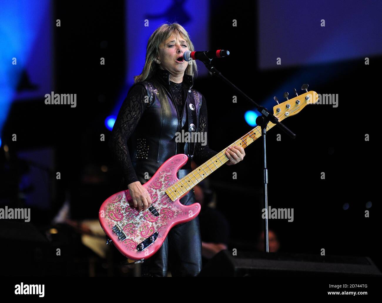 Suzi quatro hi-res stock photography and images - Alamy