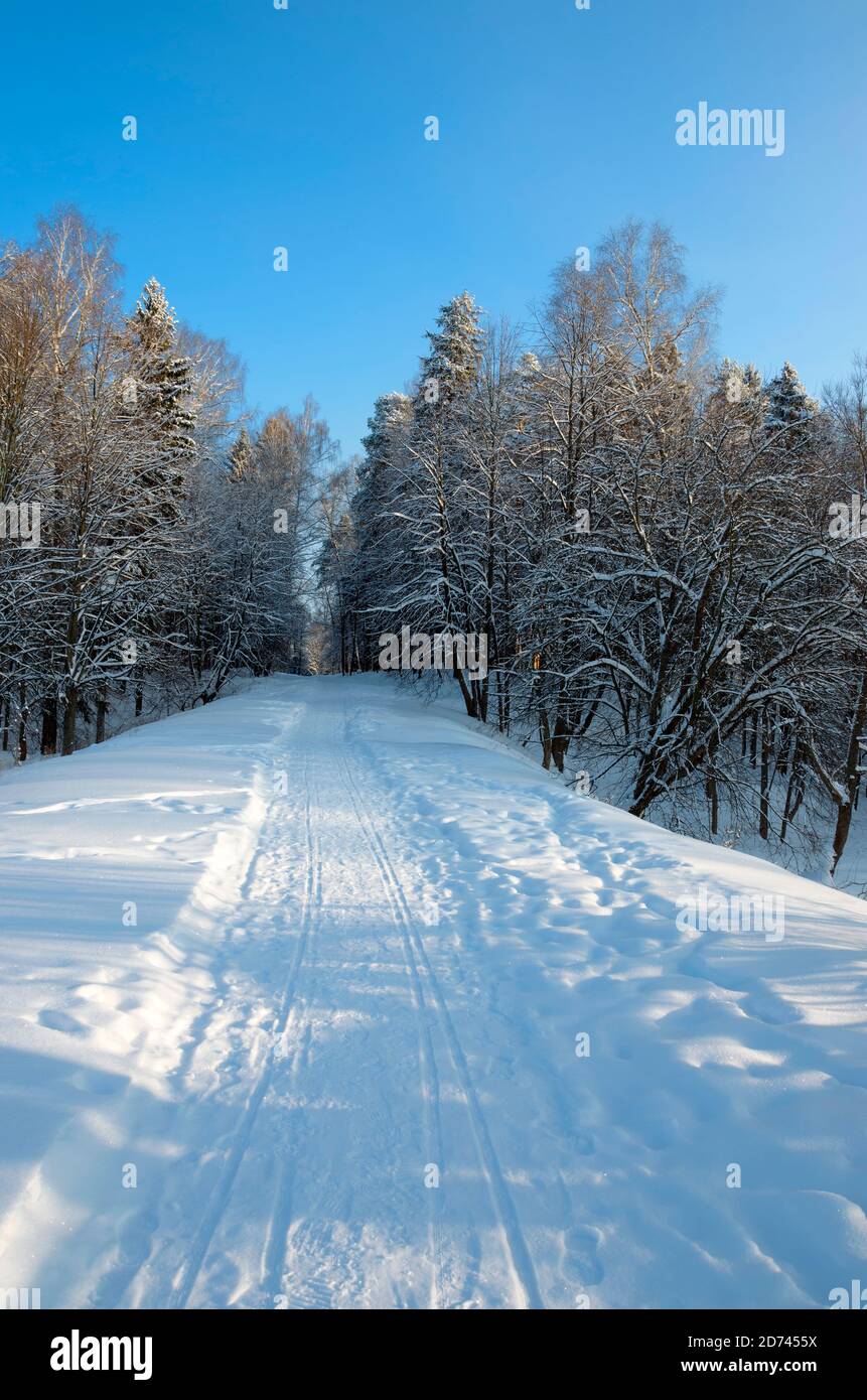 Road in winter park hi-res stock photography and images - Alamy