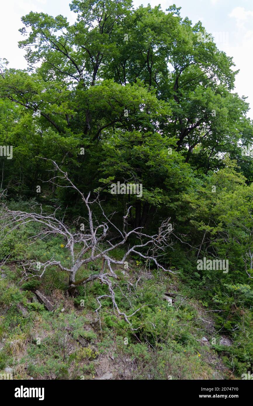 Rock cliff sky landscape blue cloud water tree green nature hi-res ...