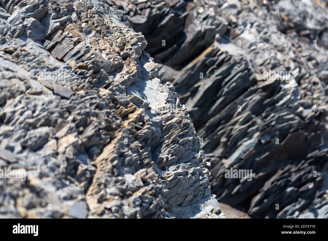 Close up natural grey hi-res stock photography and images - Alamy