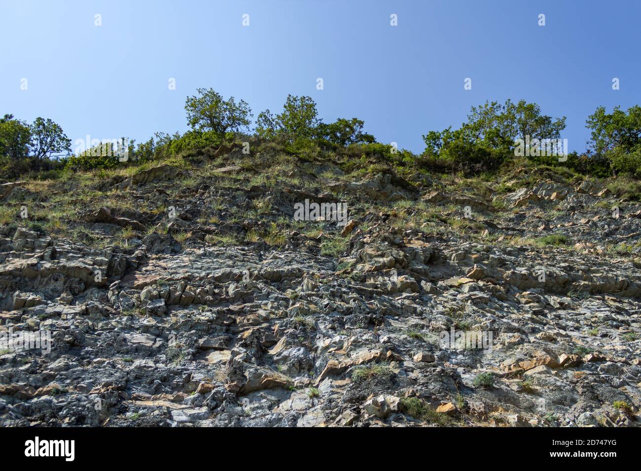 sheer rock with trees Stock Photo - Alamy