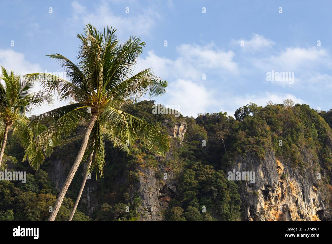 tree-covered mountains and palm trees Stock Photo - Alamy