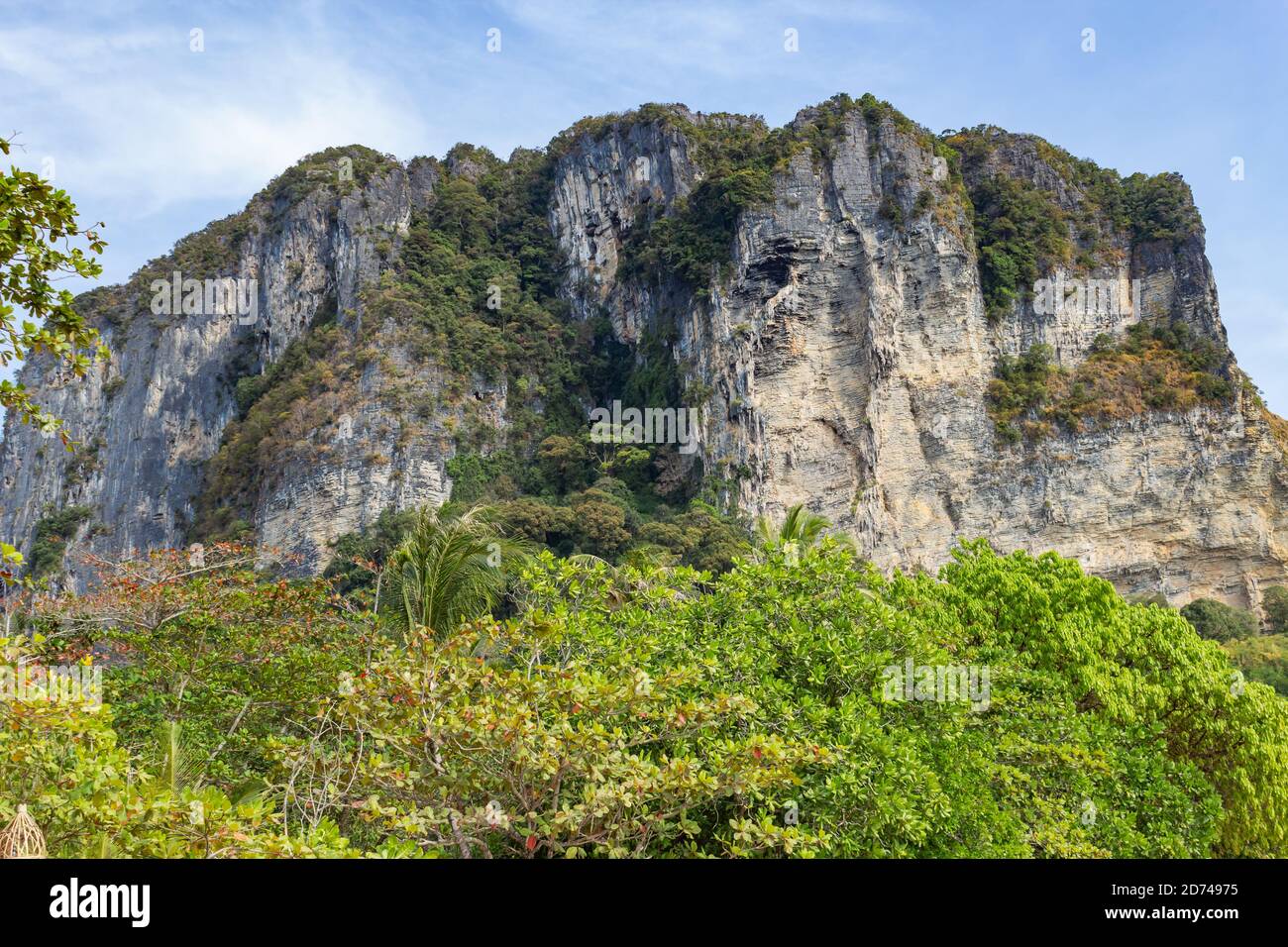 tree-covered rock against a backdrop of tropical plants Stock Photo - Alamy