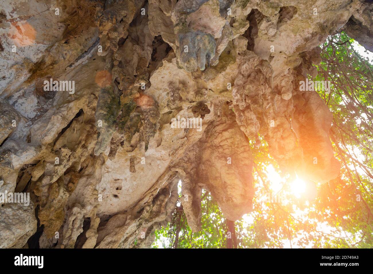 Yellow rock with trees and sun Stock Photo - Alamy