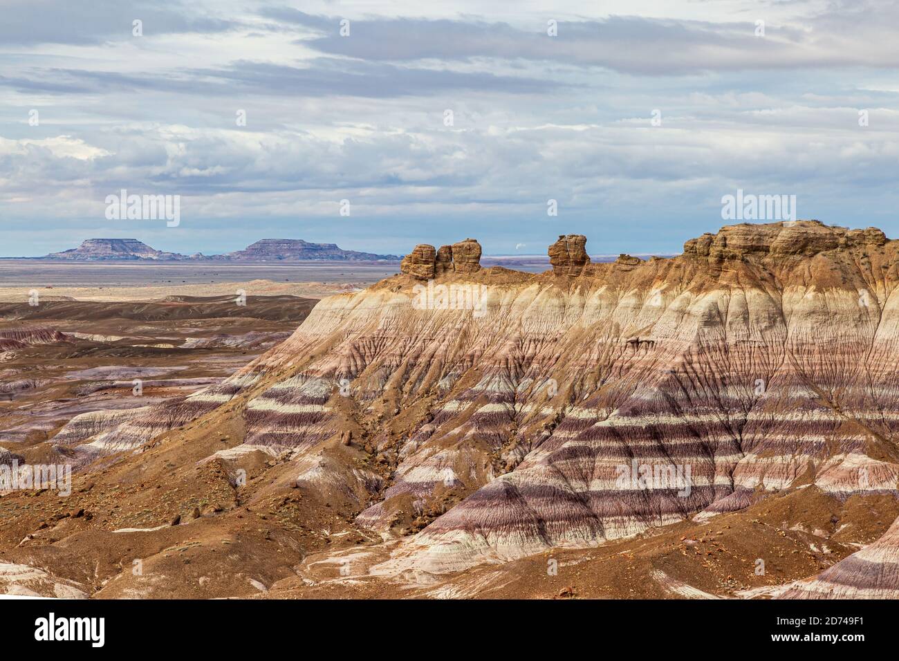 Looking out over the vast landscape of the Painted Desert in Arizona ...