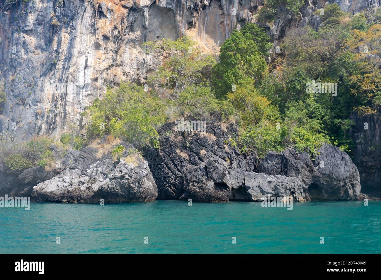 Rocks with trees in the Andaman Sea Stock Photo - Alamy
