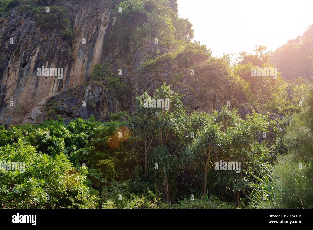 Tropical green landscape hi-res stock photography and images - Alamy