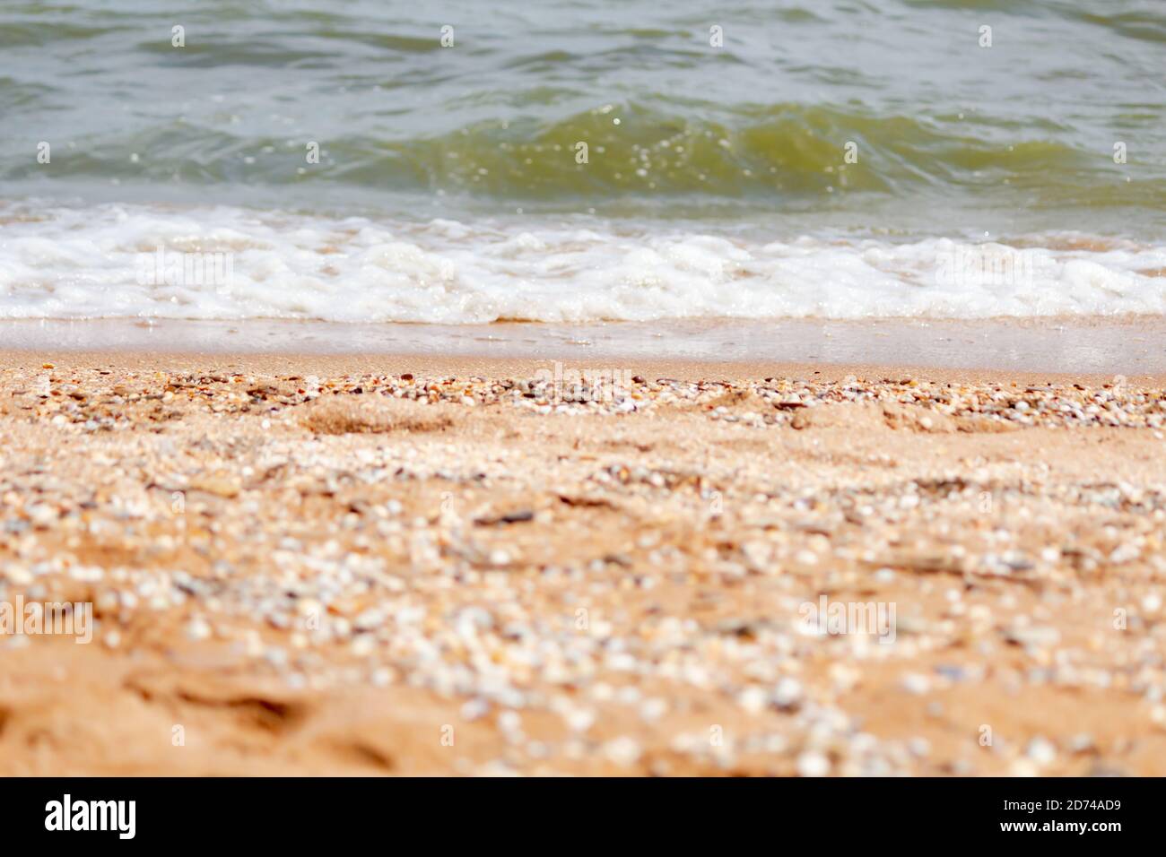 Golden shell with pearl hi-res stock photography and images - Alamy