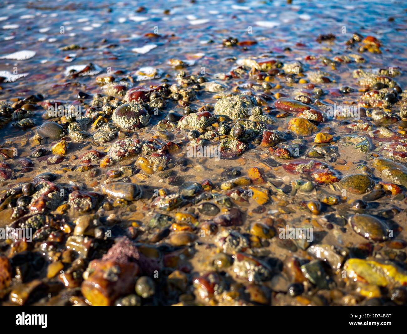 Hydration rock weathering hi-res stock photography and images - Alamy