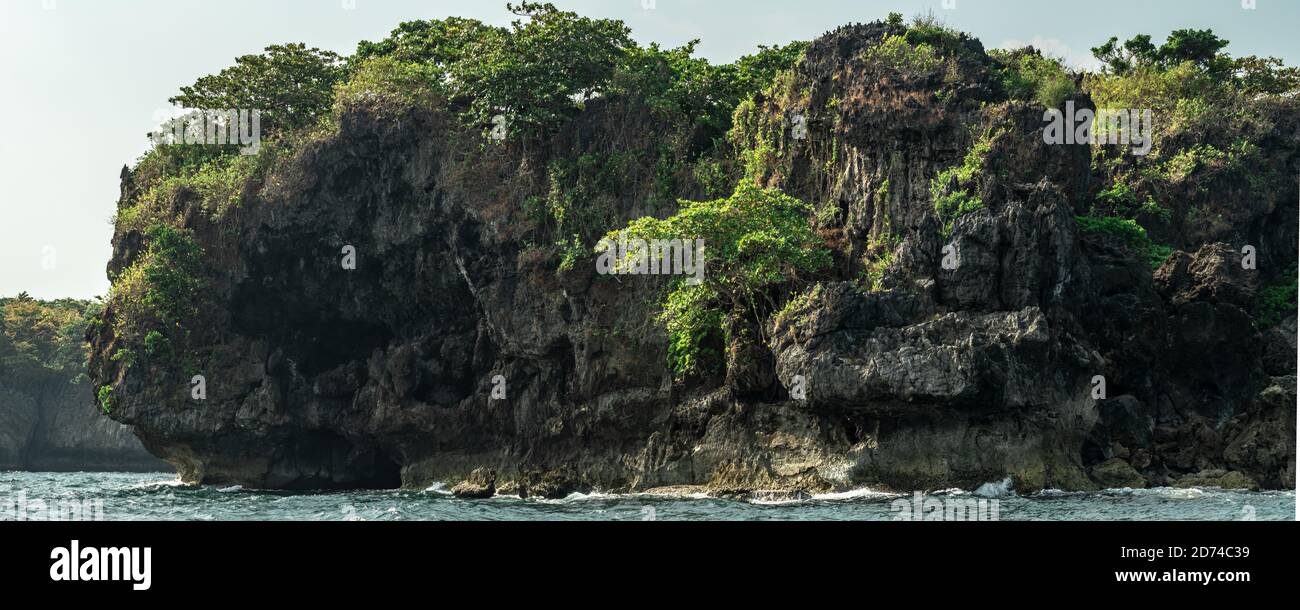Panoramic view of a steep cliff with trees growing on it by the ...