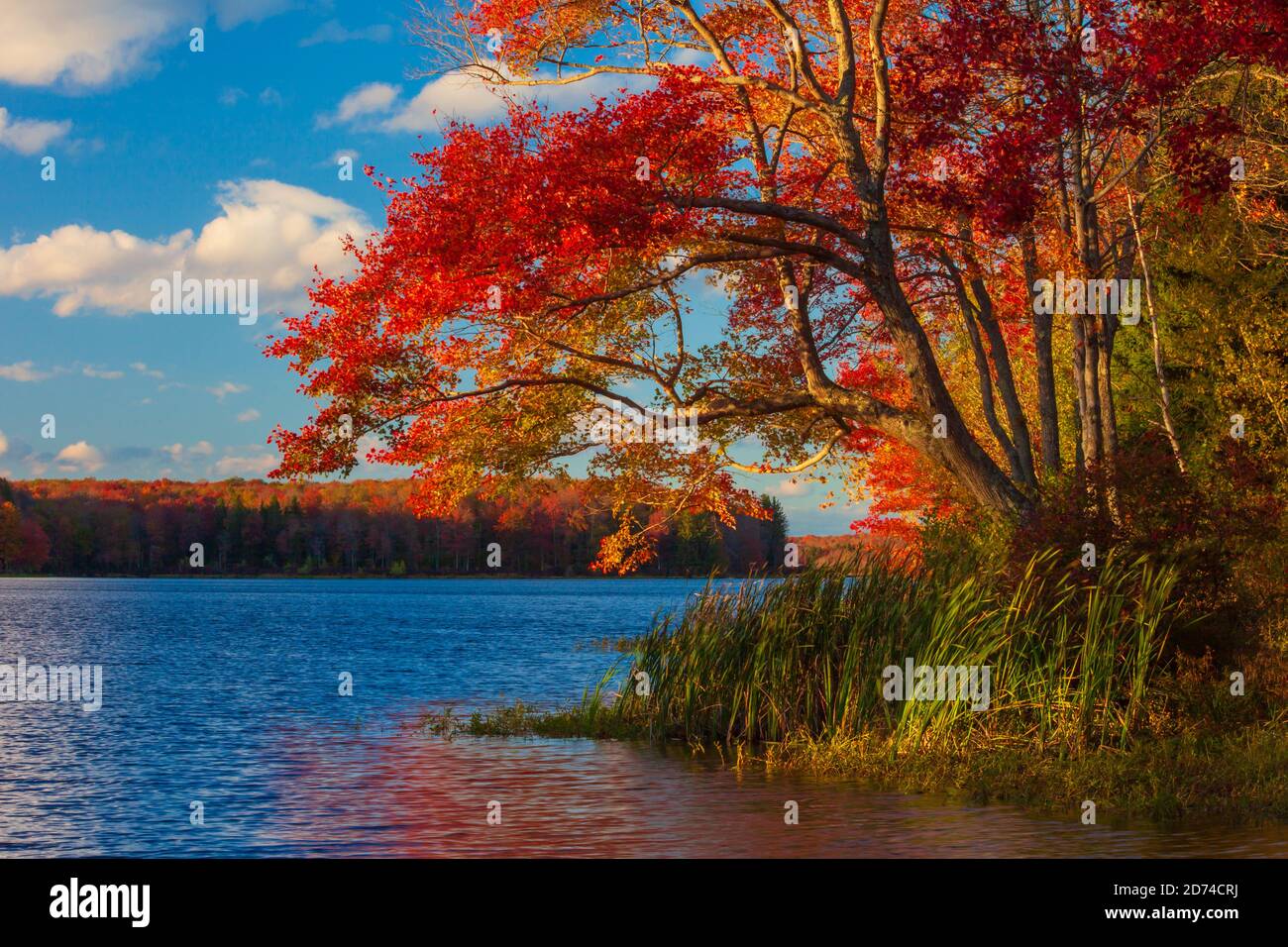 Bradys lake hi-res stock photography and images - Alamy