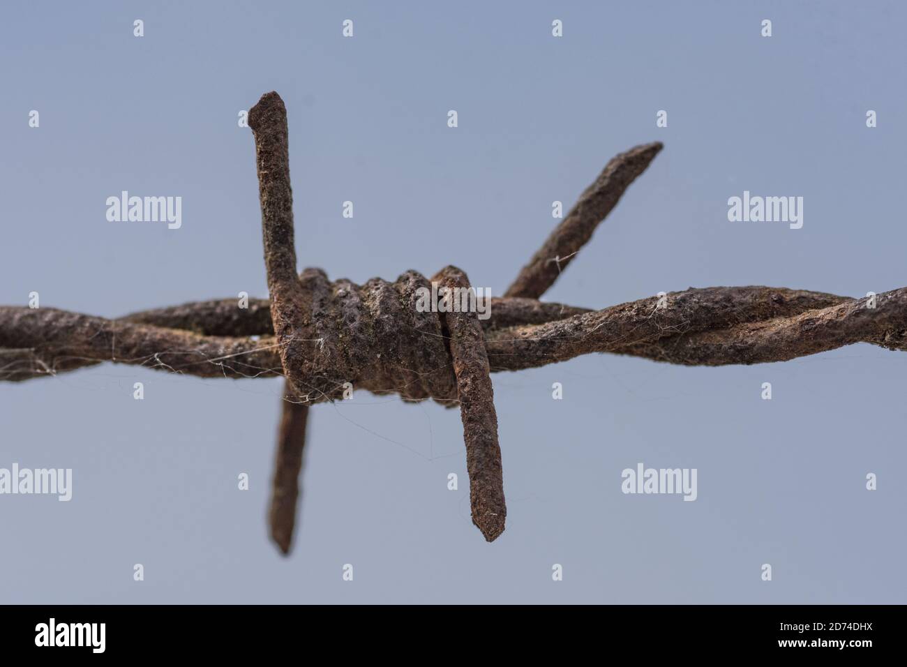 Closeup shot of barbed wire Stock Photo - Alamy