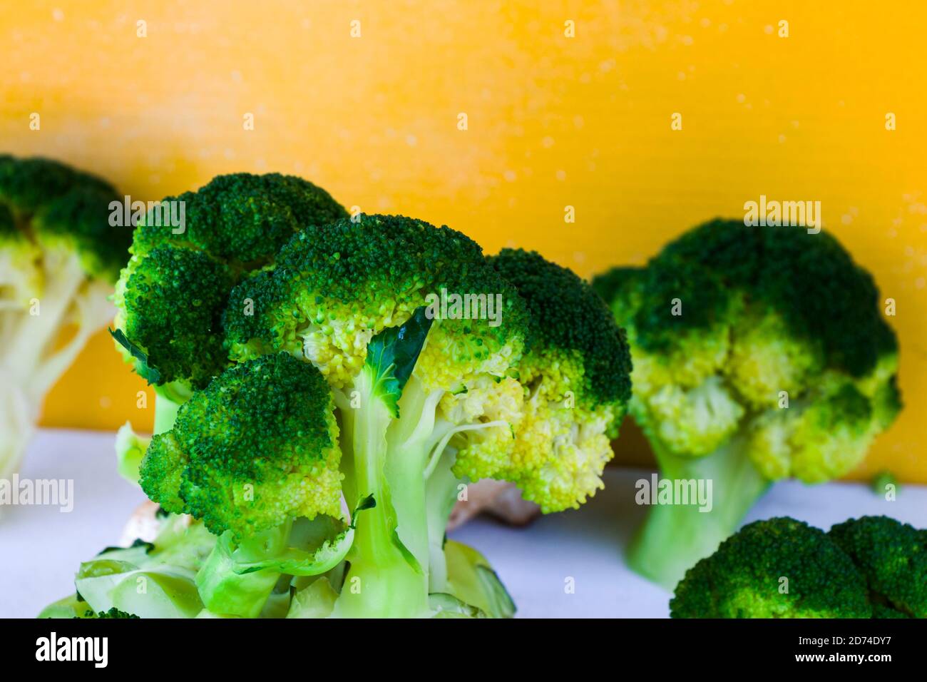 Broccoli vegetable like a tree, broccoli forests on the yellow ...
