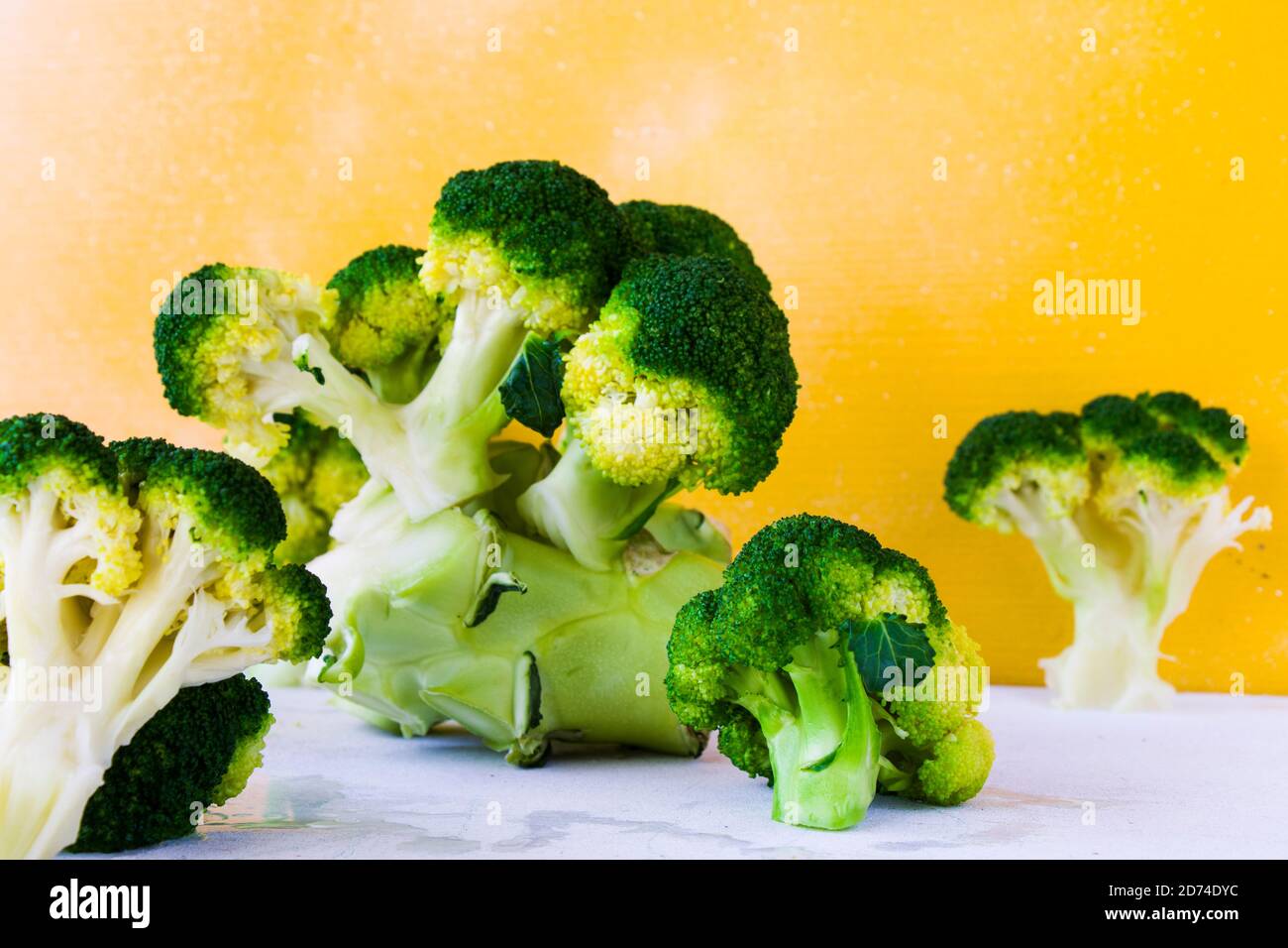 Broccoli vegetable like a tree, broccoli forests on the yellow ...