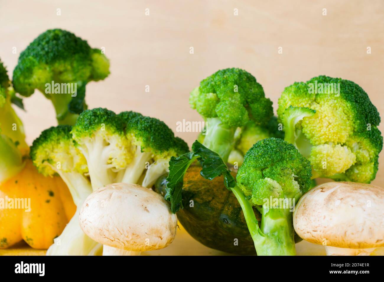 Broccoli and mushroom vegetable like a forest, broccoli and mushroom on ...