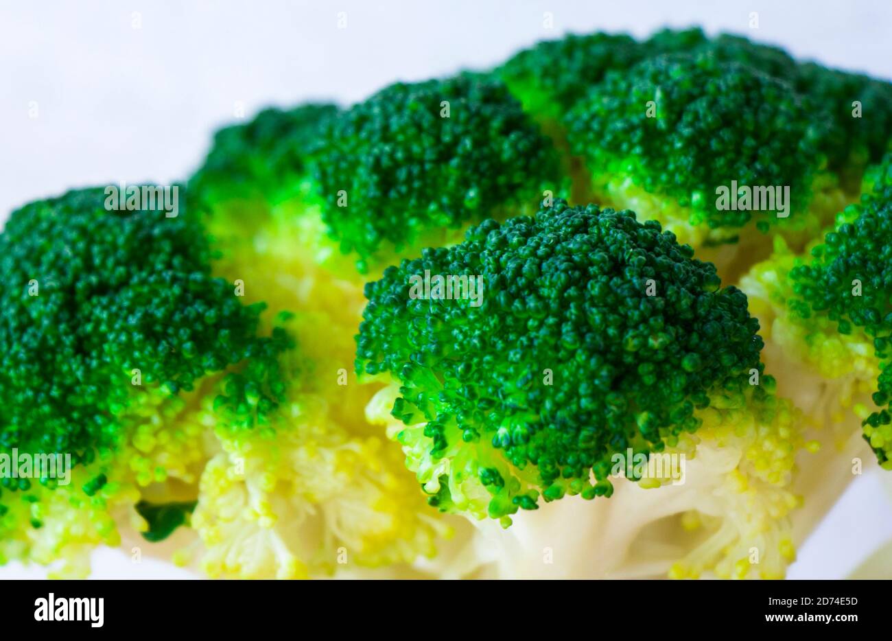 Broccoli vegetable macro and close-up on the white background, green ...