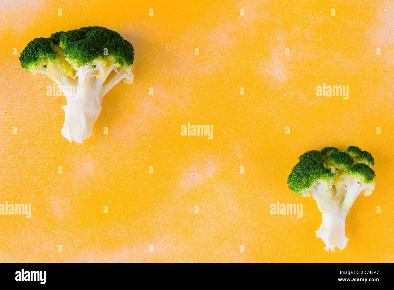 Broccoli vegetable like a tree, broccoli forests on the background ...