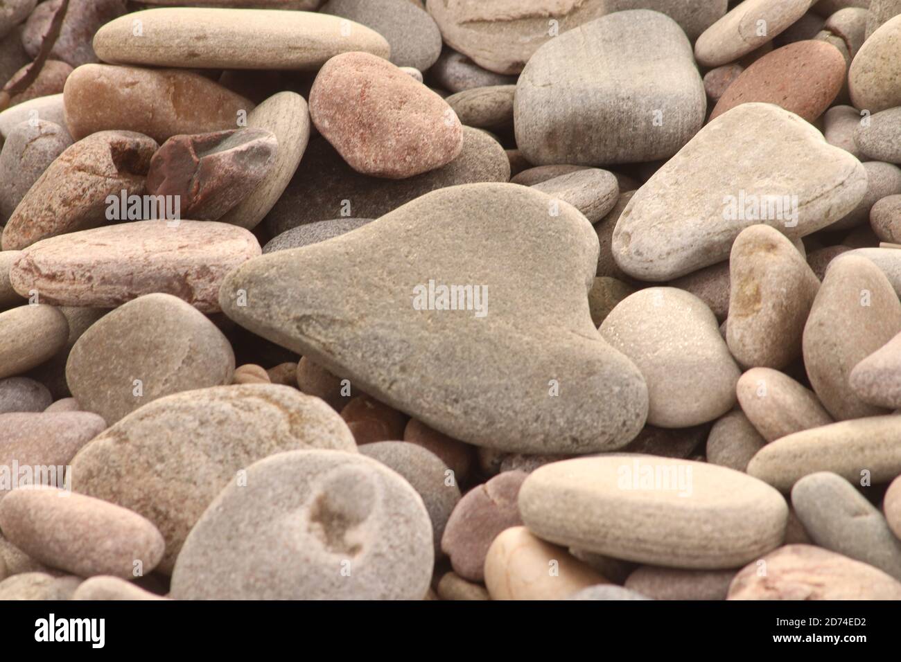 Monterey peninsular hi-res stock photography and images - Alamy