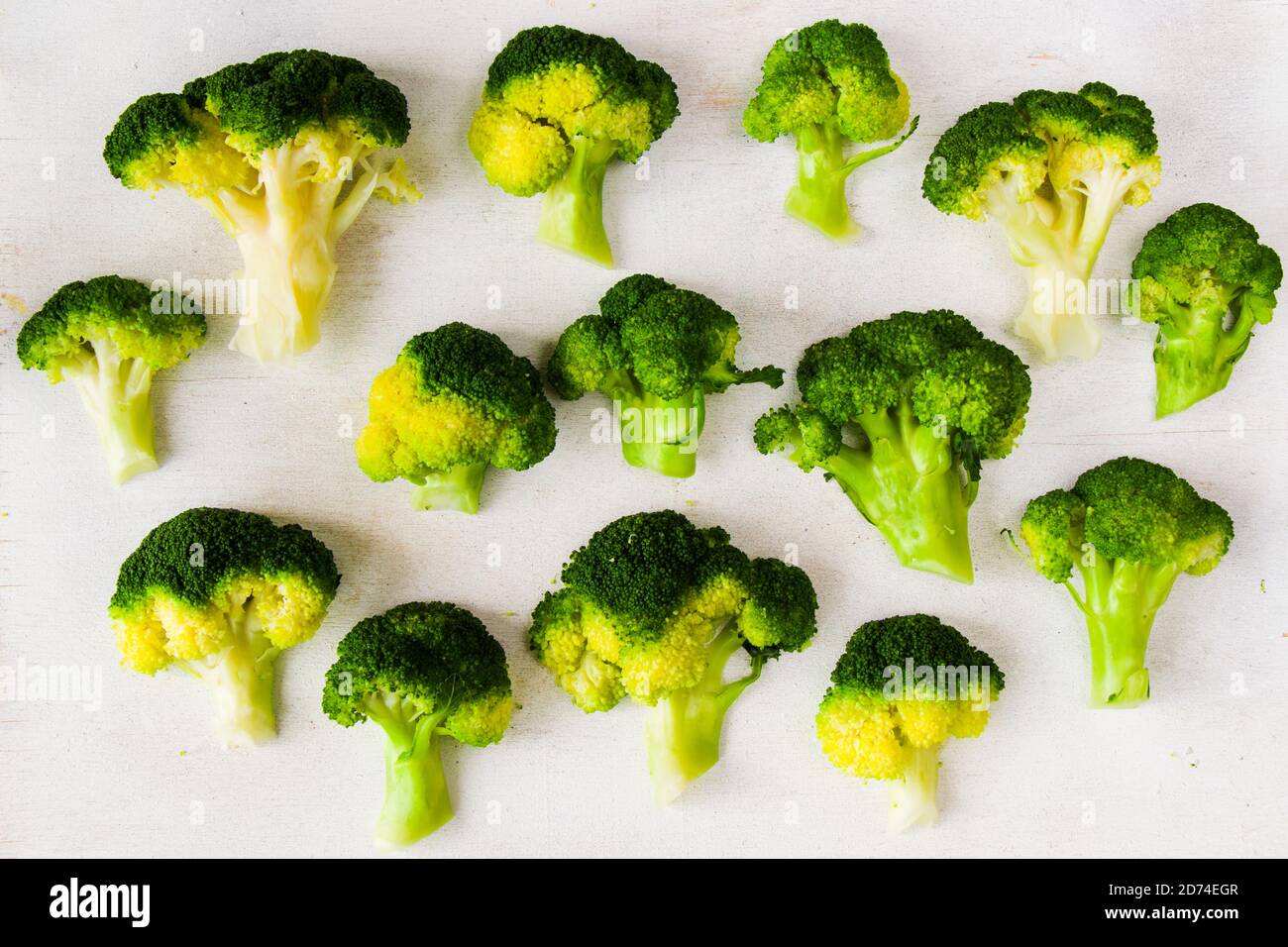 Broccoli vegetable like a tree, broccoli forests on the white ...