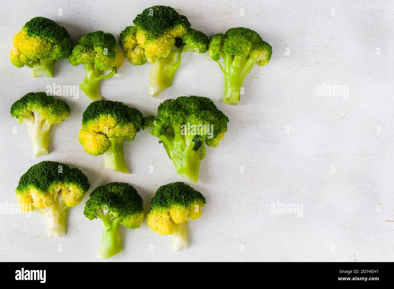Broccoli vegetable like a tree, broccoli forests on the white ...
