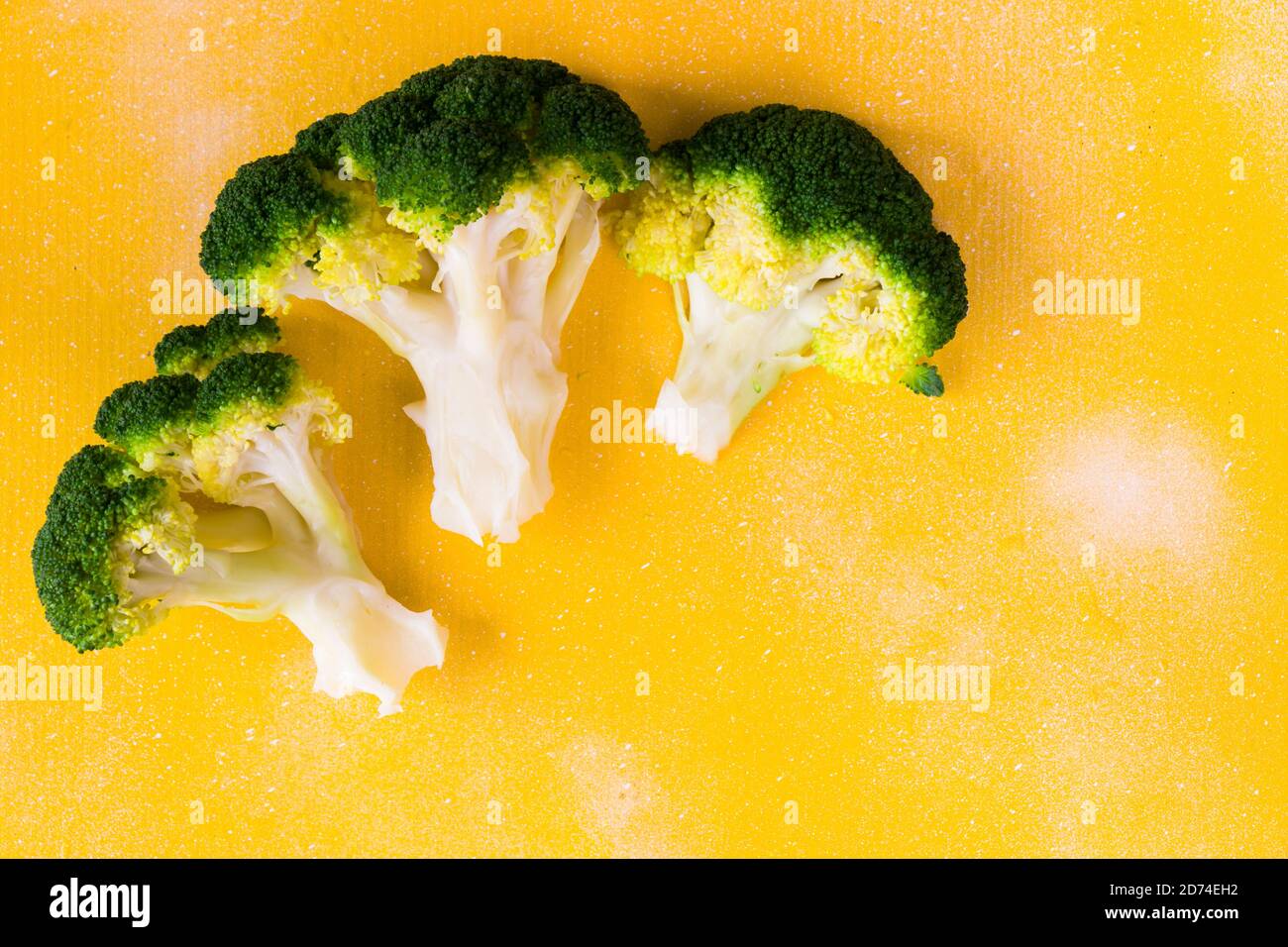 Broccoli vegetable like a tree, broccoli forests on the background ...