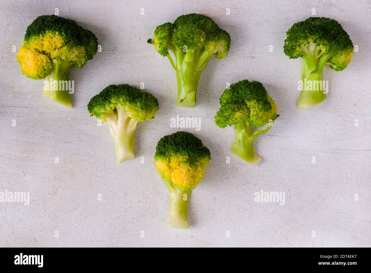 Broccoli vegetable like a tree, broccoli forests on the white ...