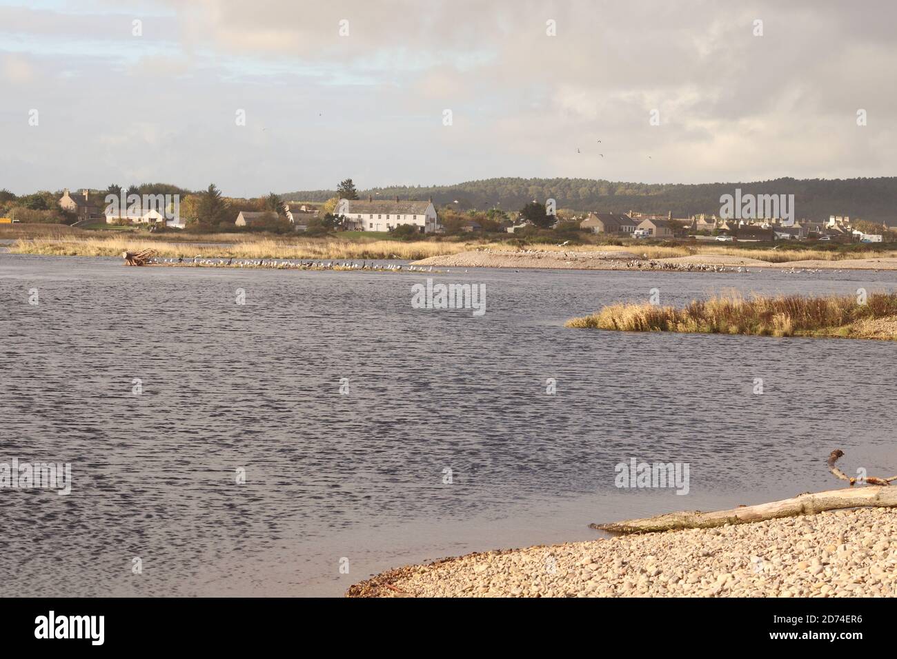 Pebbly river bank hi-res stock photography and images - Alamy