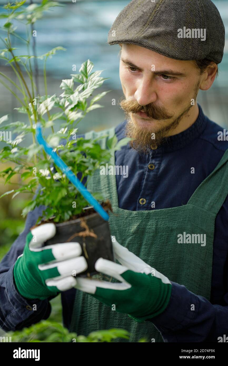 Cropped portrait male gardener hi-res stock photography and images - Alamy