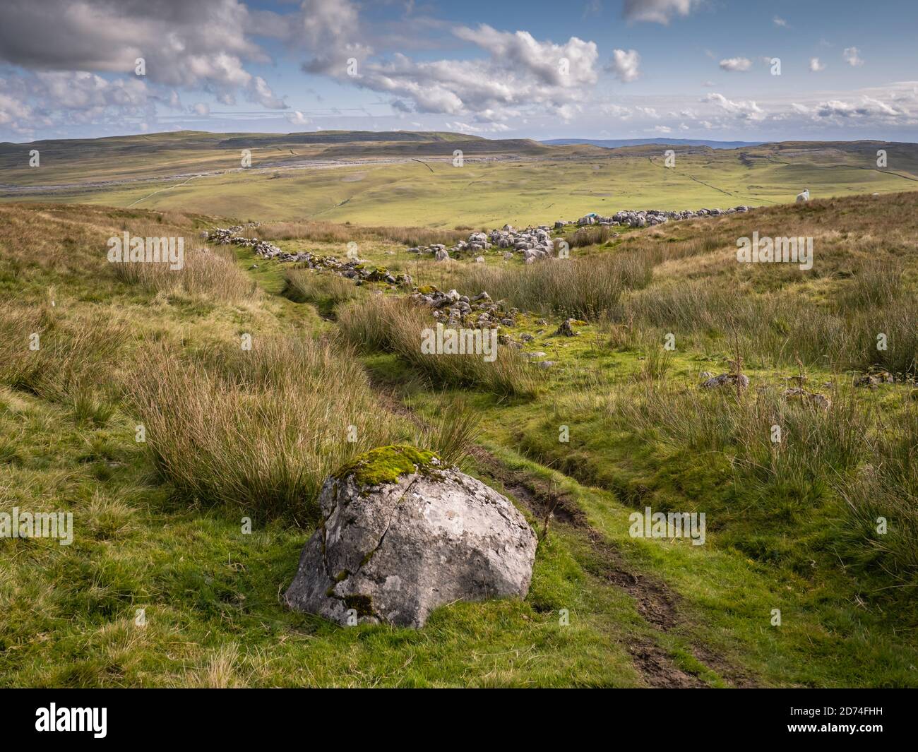 A super walk along the Pennine Way on to Fountains Fell from Malham ...