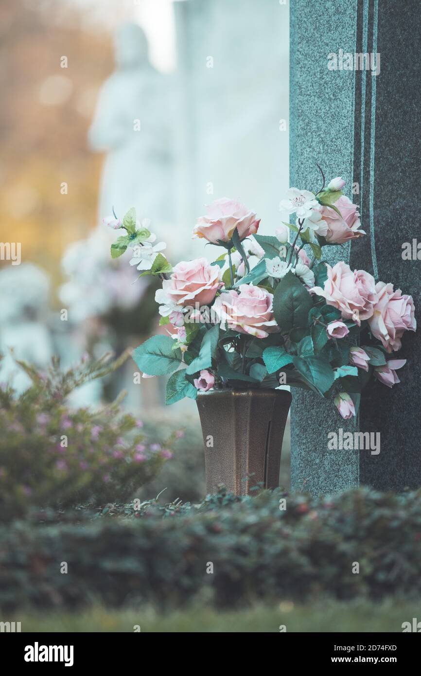 Close up of beautiful roses on a grave at a cemetery Stock Photo - Alamy