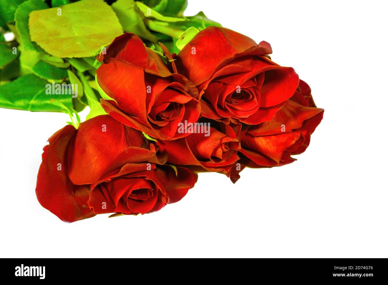 Bouquet of five red roses isolate on a white background. Roses bouquet ...